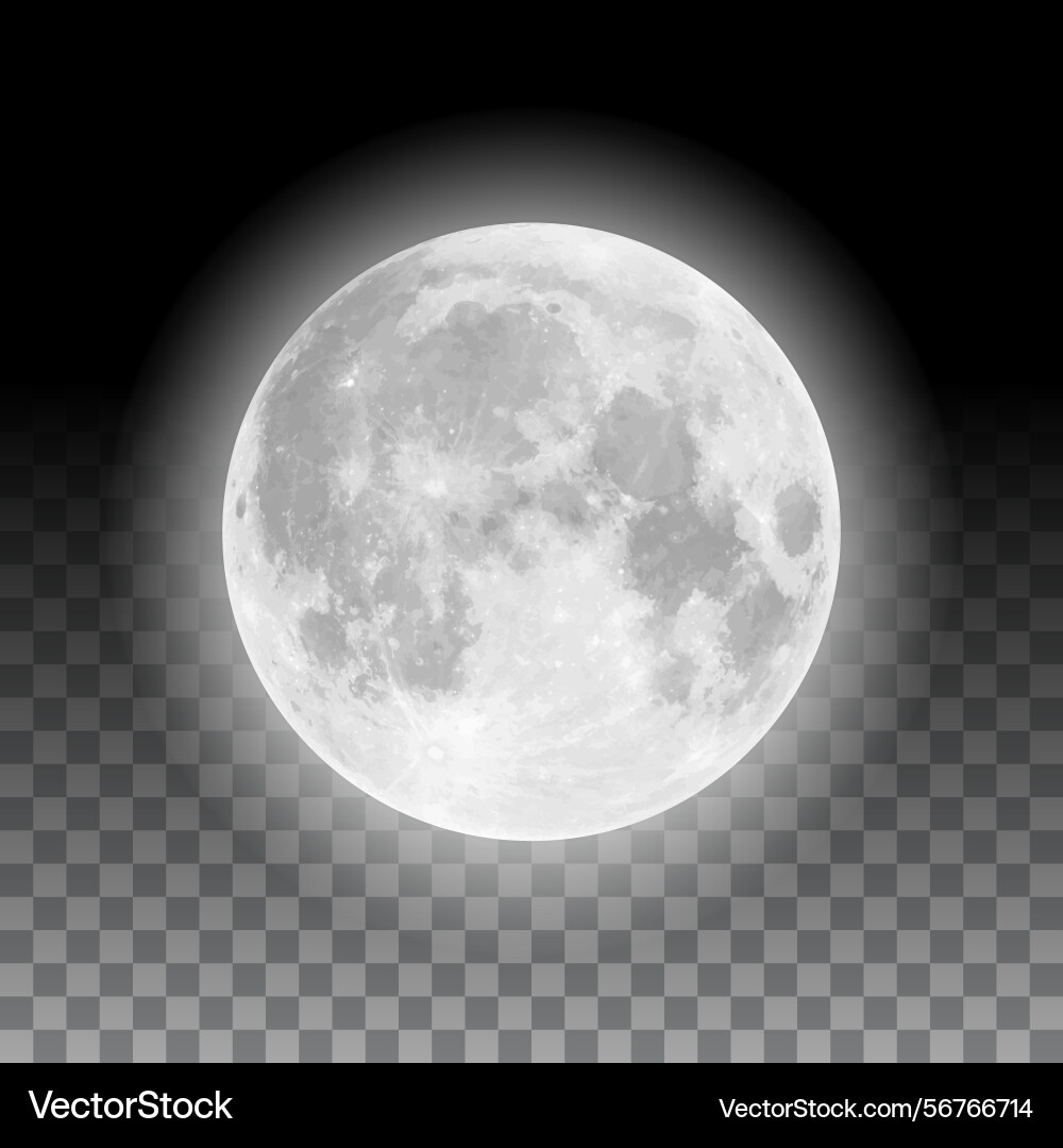 Realistic detailed full big grey moon isolated Vector Image