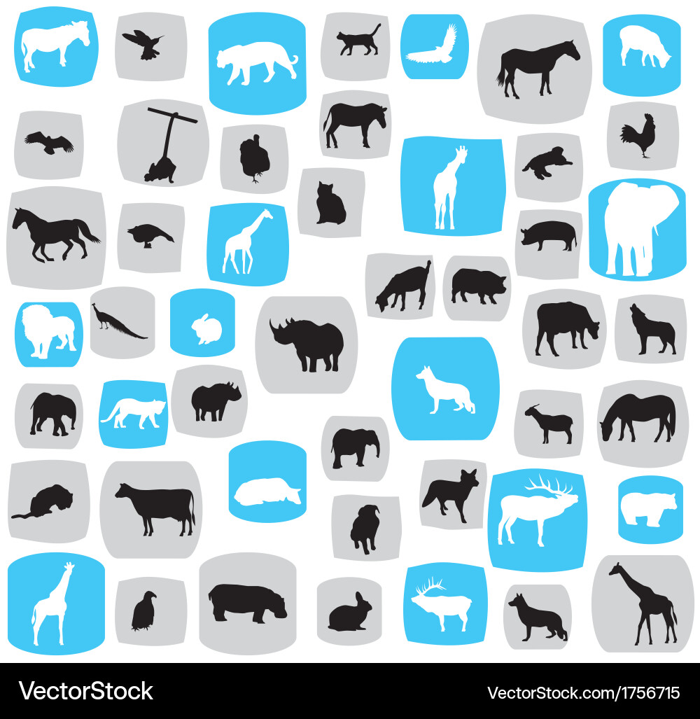 Animals Royalty Free Vector Image - VectorStock