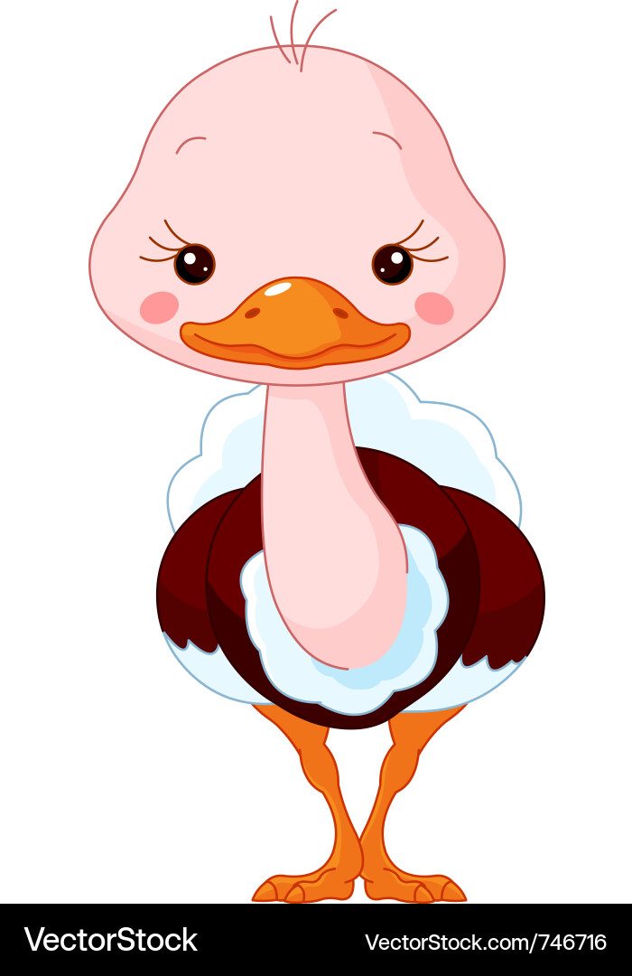 Ostrich Royalty Free Vector Image - VectorStock