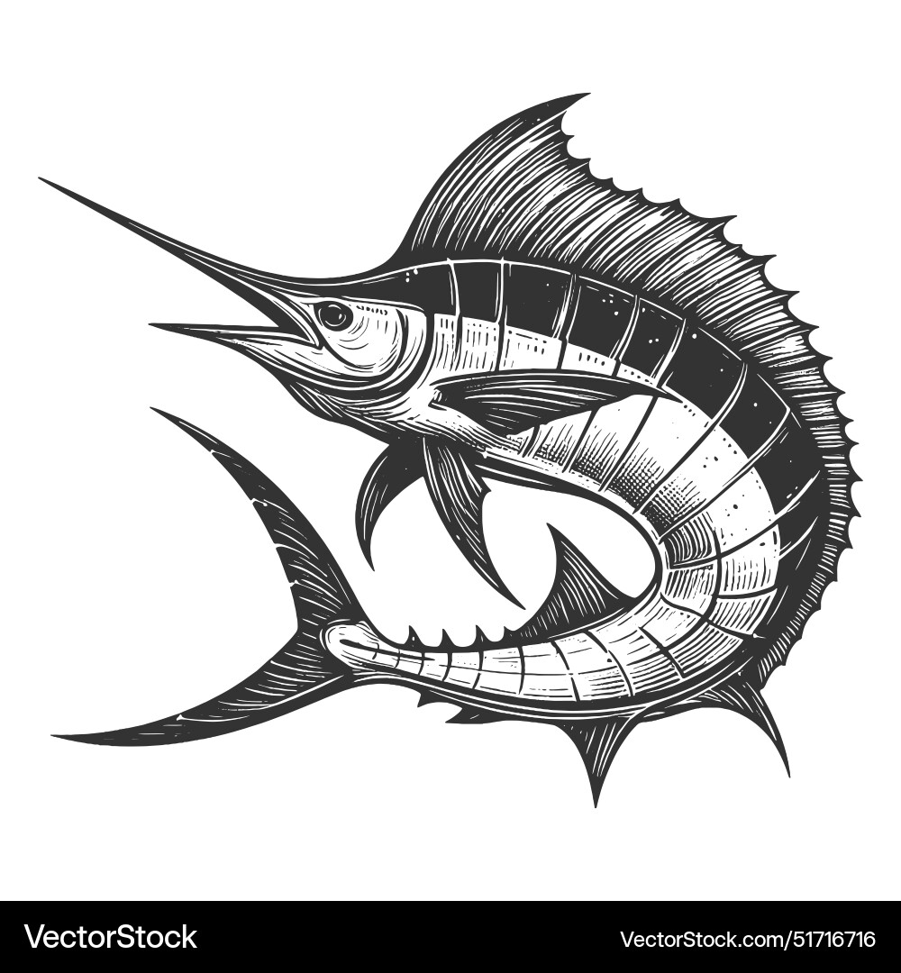 Sailfish blue marlin engraving Royalty Free Vector Image