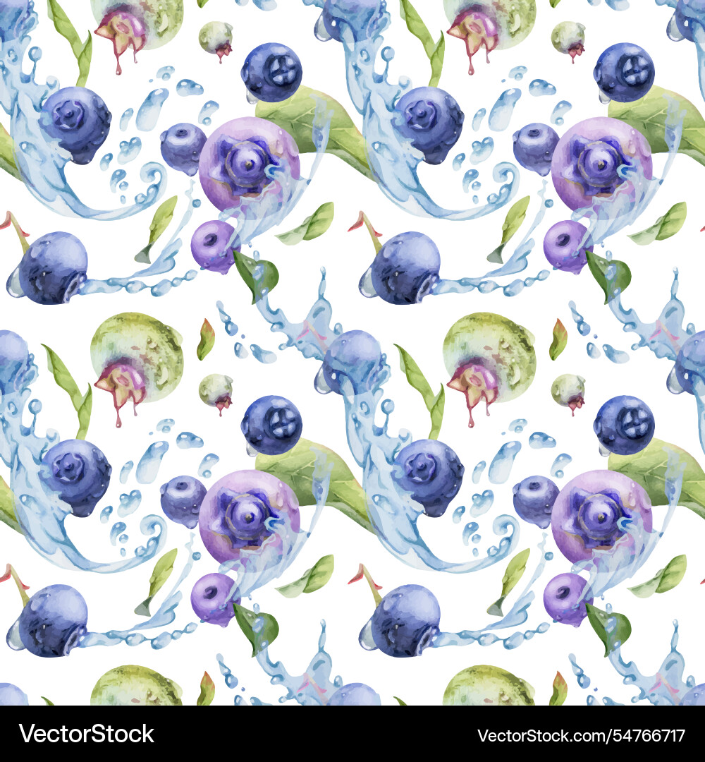 Blueberry blackberry flying in water splashes Vector Image