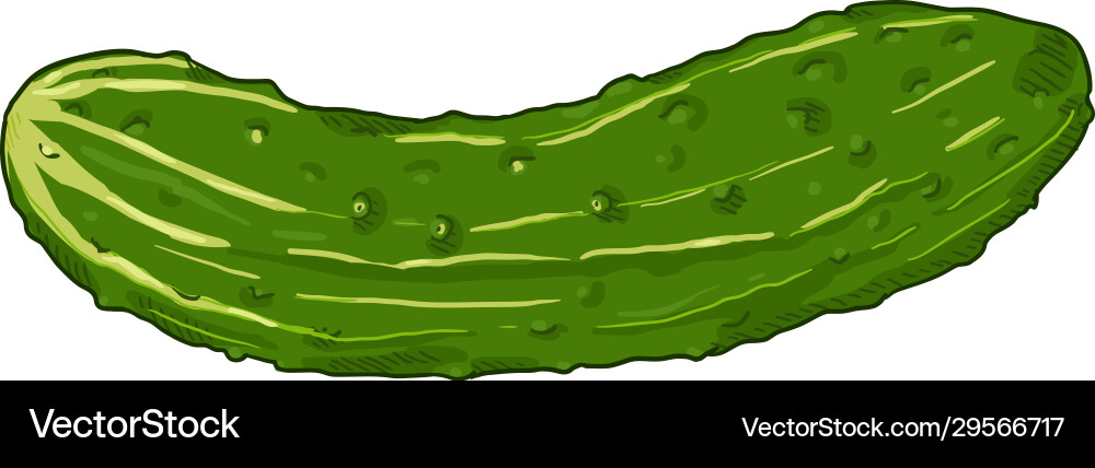 Cartoon green cucumber Royalty Free Vector Image