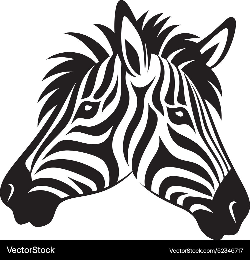 Contour capture zebra creationvisual impact Vector Image