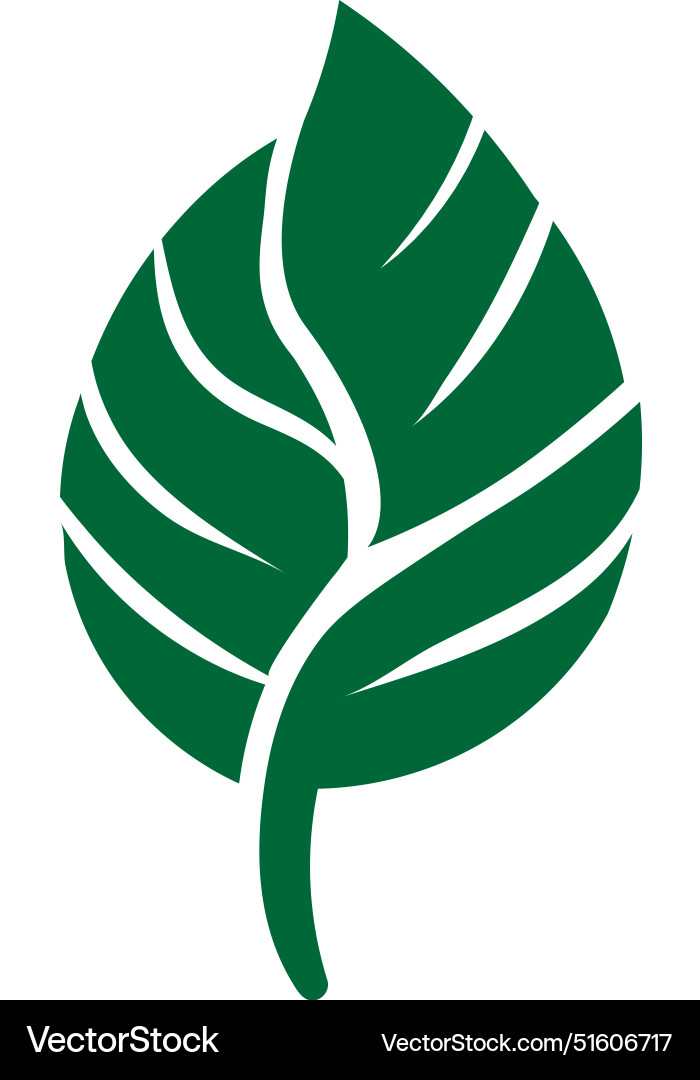 Leaf Icon Design Template Isolated Royalty Free Vector Image