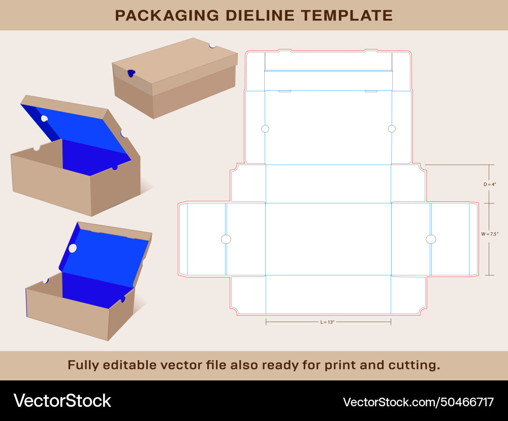 Sneaker shoe box template medium size 13 x 75 4 Vector Image