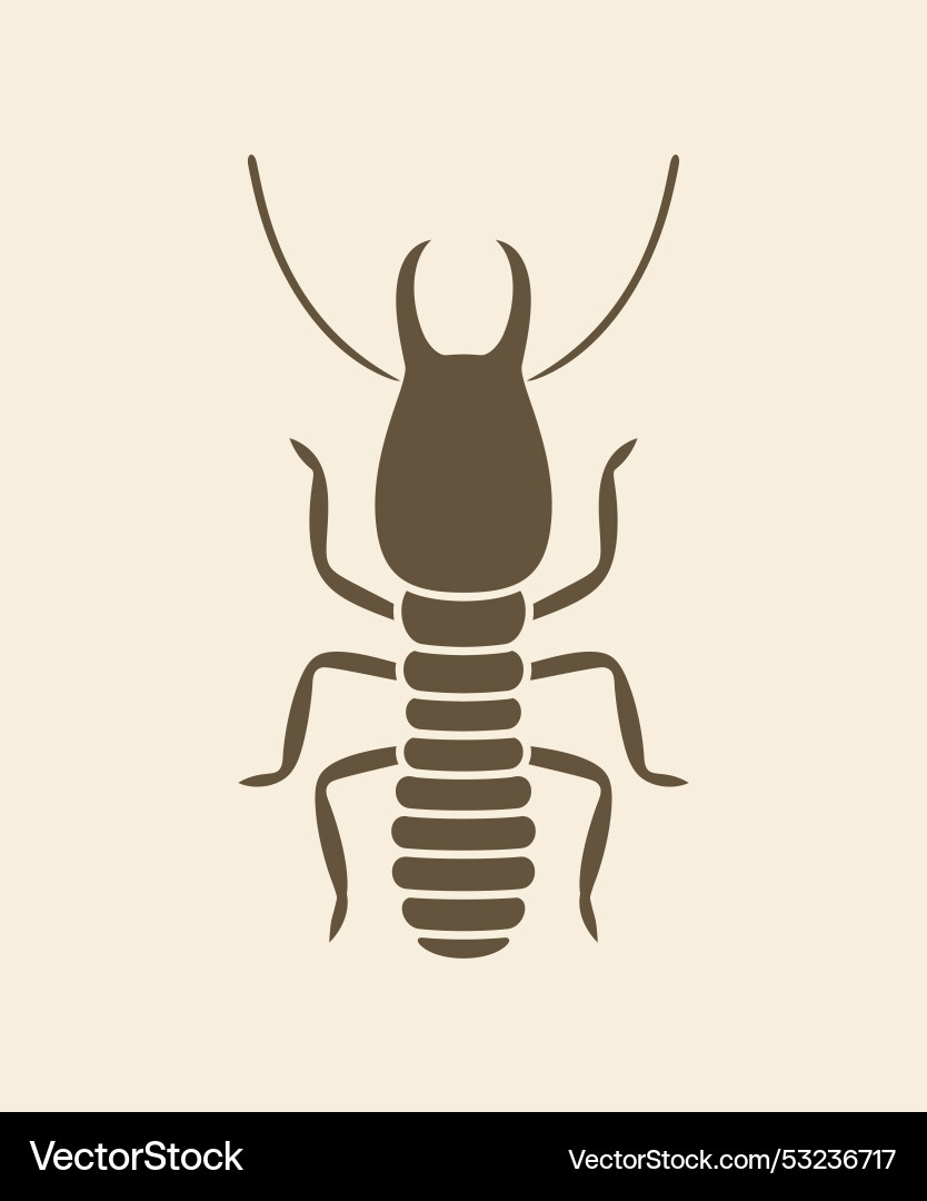 Termite Royalty Free Vector Image - VectorStock
