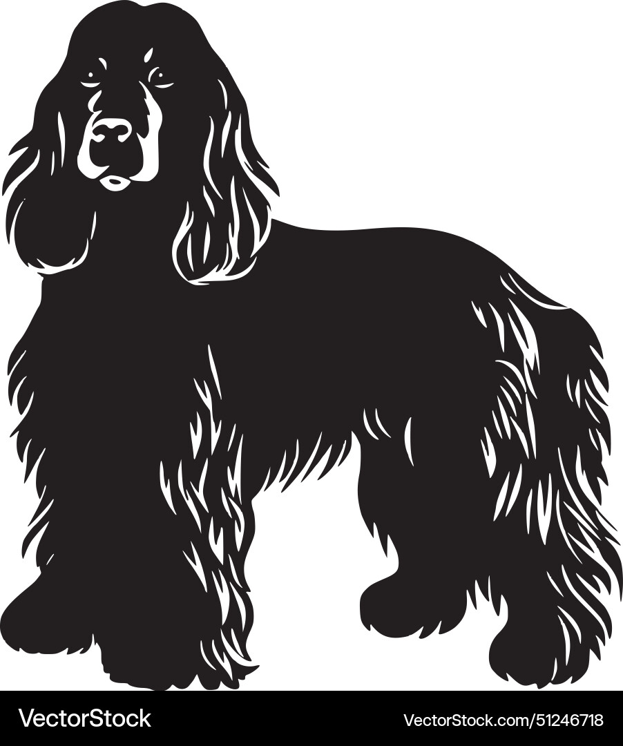 Cocker spaniel - black and white isolated icon Vector Image