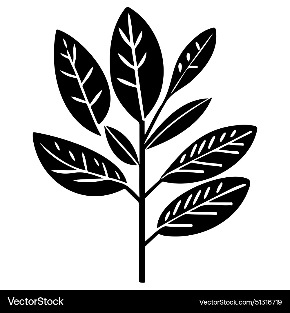 Parallel leaf plant floral sketch Royalty Free Vector Image