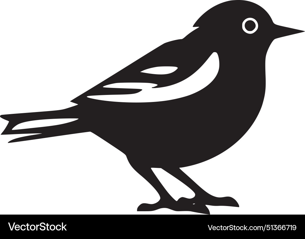 Robin bird - black and white isolated icon Vector Image