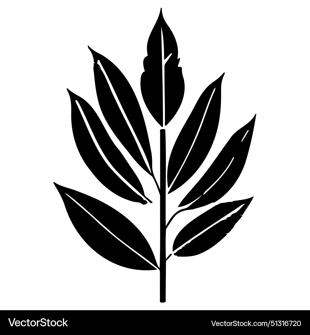 Parallel leaf plant floral sketch Royalty Free Vector Image