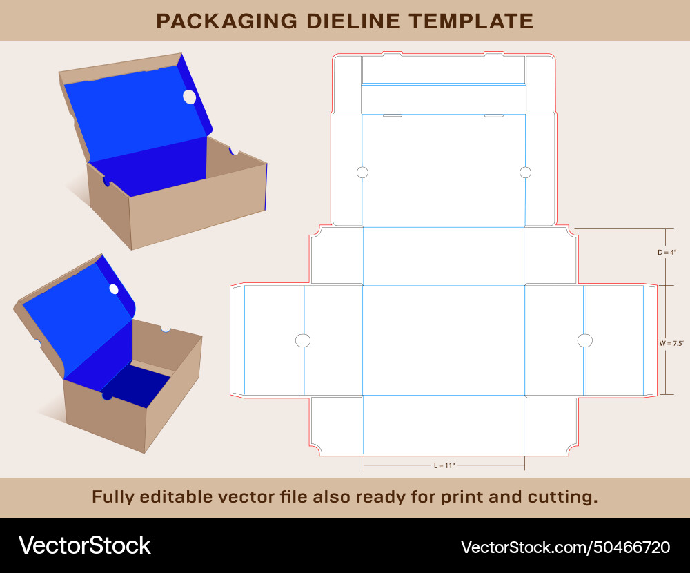 Sneaker shoe box template small size 11 x 75 4 Vector Image