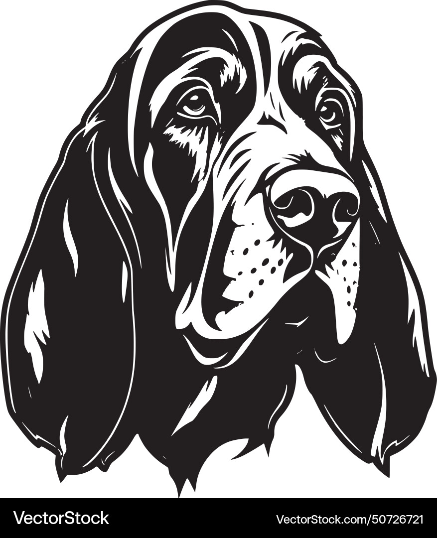 Bloodhound - black and white Royalty Free Vector Image