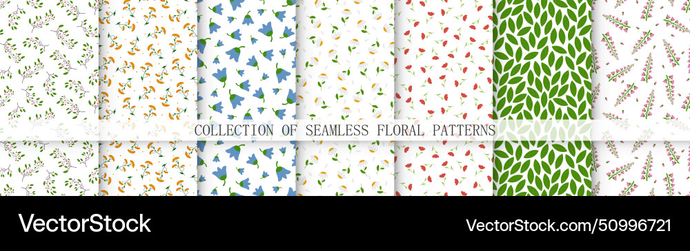 Floral Colorful Collection Vector Images (over 69,000)