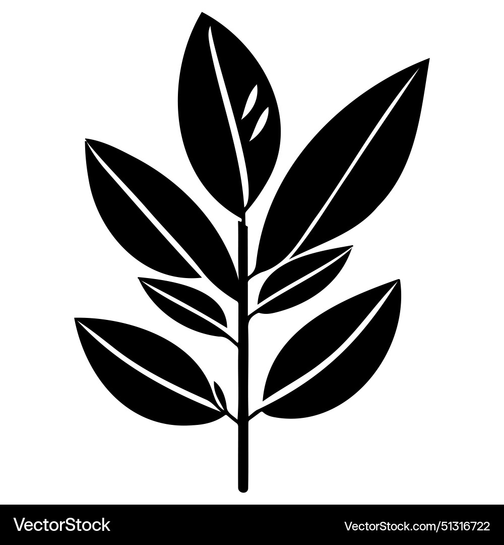 Parallel leaf plant floral sketch Royalty Free Vector Image