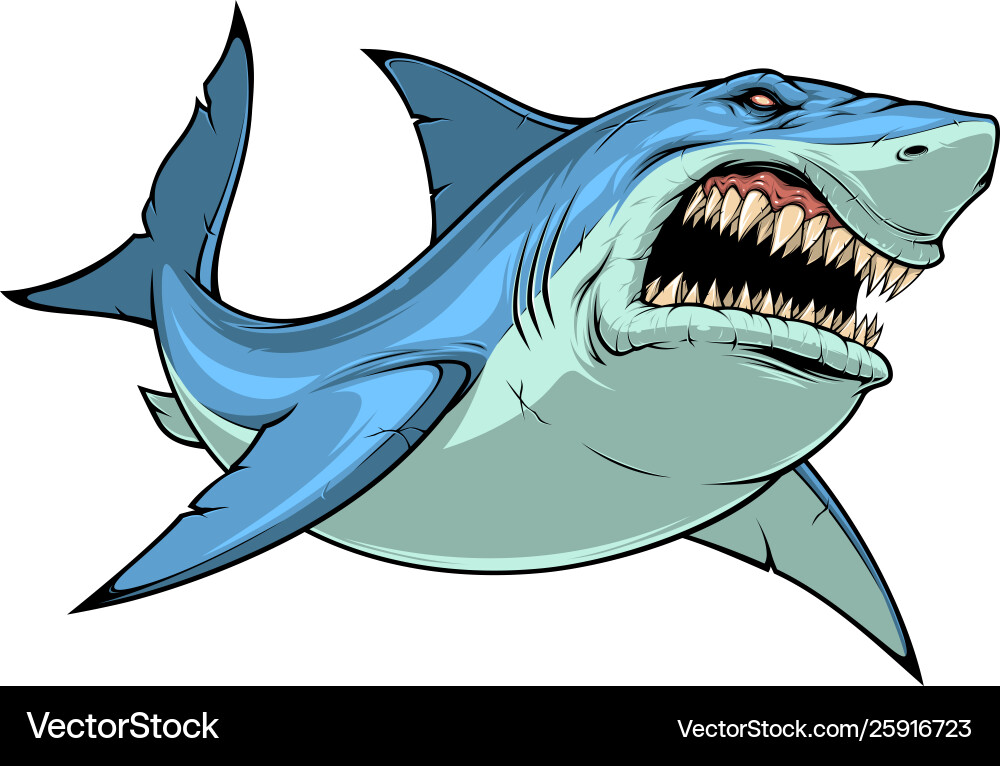 Fierce shark attacks Royalty Free Vector Image