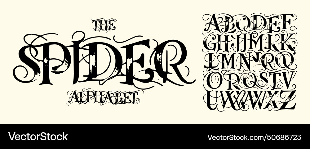 Gothic spiderweb calligraphy eerie handwritten Vector Image