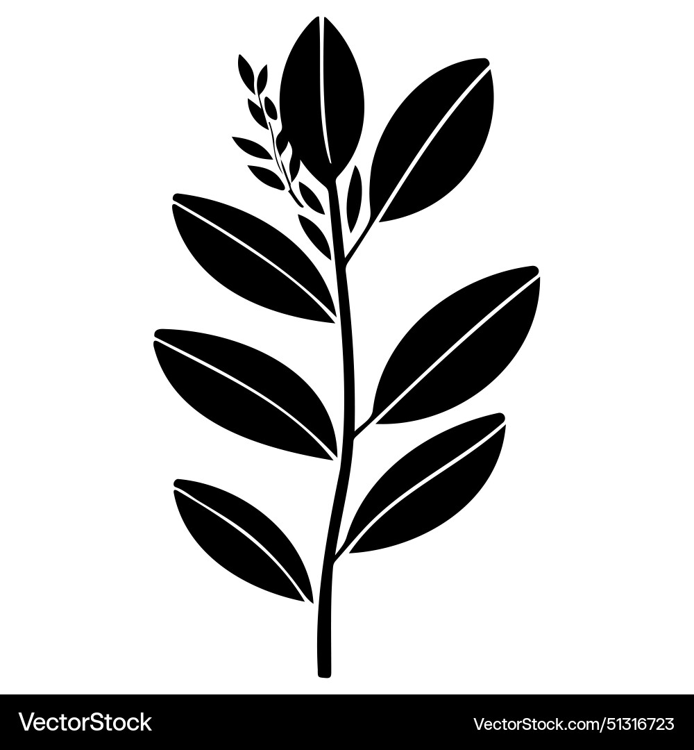 Parallel leaf plant floral sketch Royalty Free Vector Image