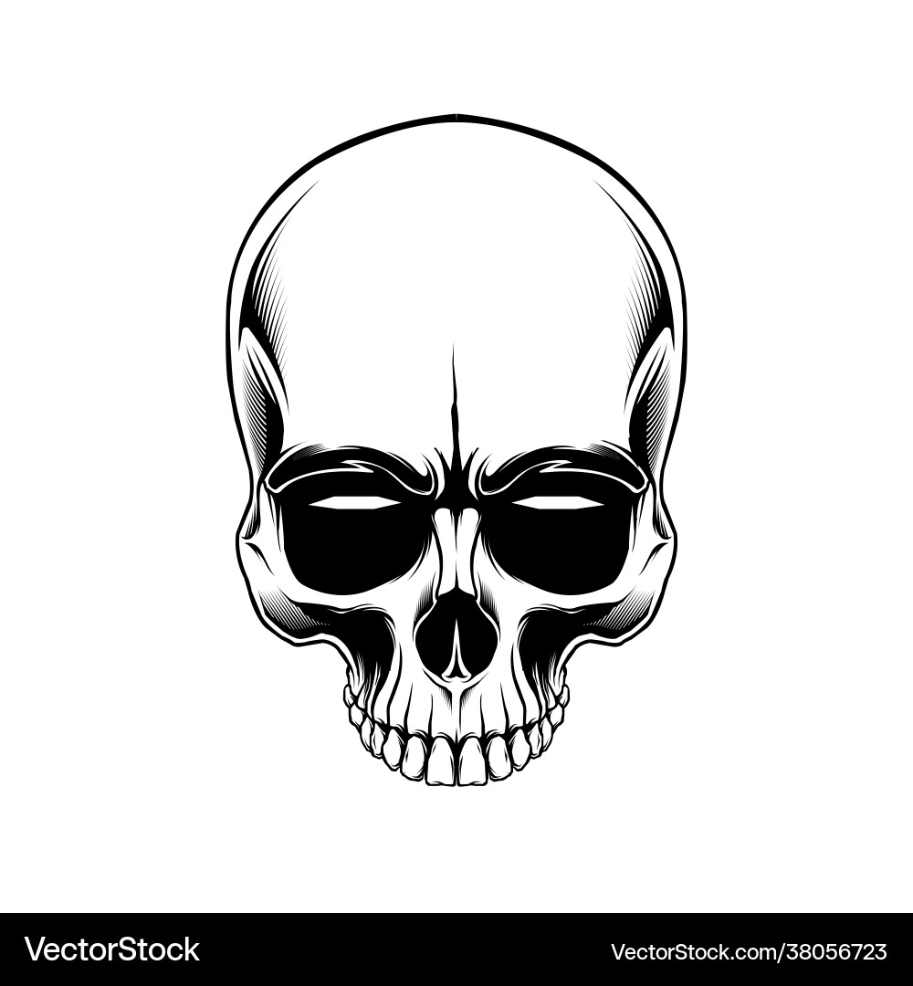 Skull Royalty Free Vector Image - VectorStock