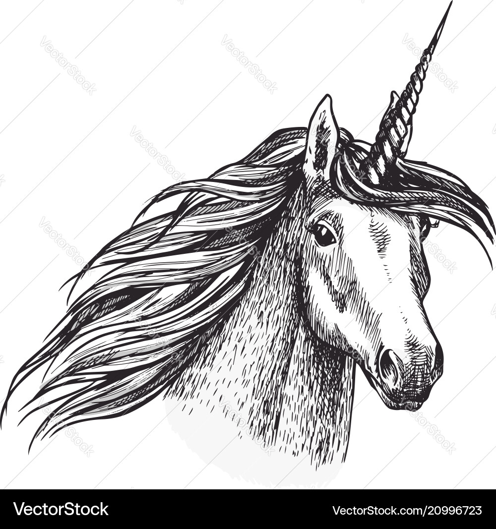 Unicorn horse animal sketch of magic creation Vector Image
