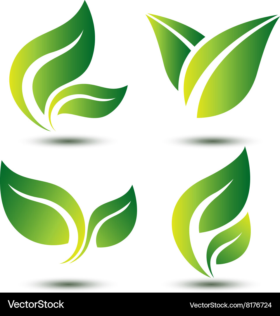 Leaf symbol Royalty Free Vector Image - VectorStock