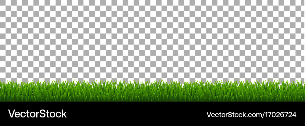 Lush Green Grass Texture Royalty Free Vector Image