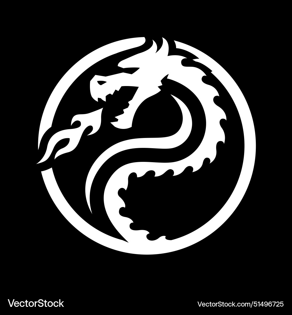 Fire breathing dragon logo on a dark background Vector Image