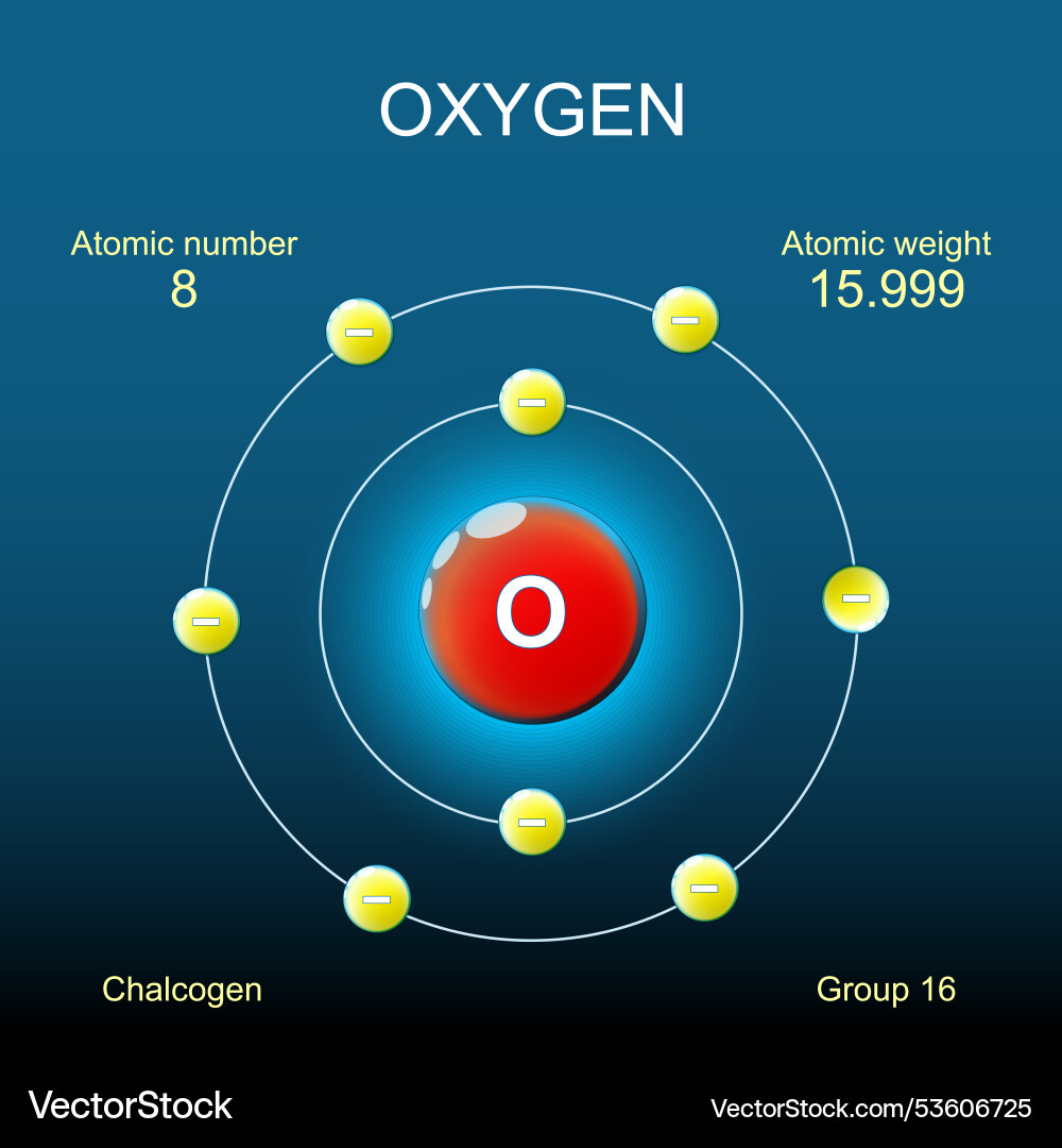 Cellular Respiration Vector Images (over 130)