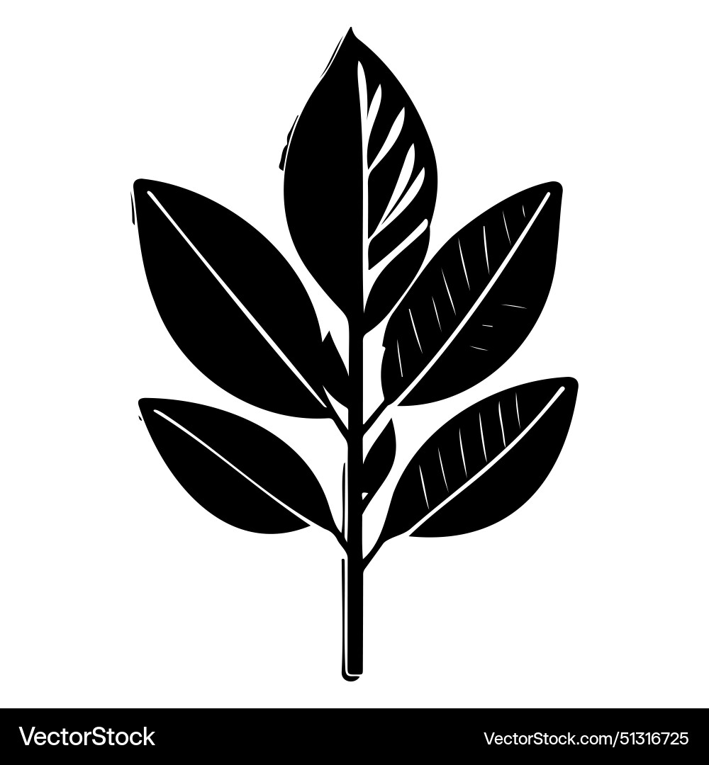 Parallel leaf plant floral sketch Royalty Free Vector Image