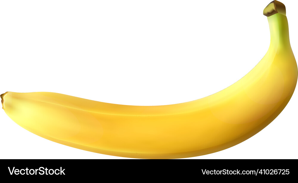 Realistic banana Royalty Free Vector Image - VectorStock