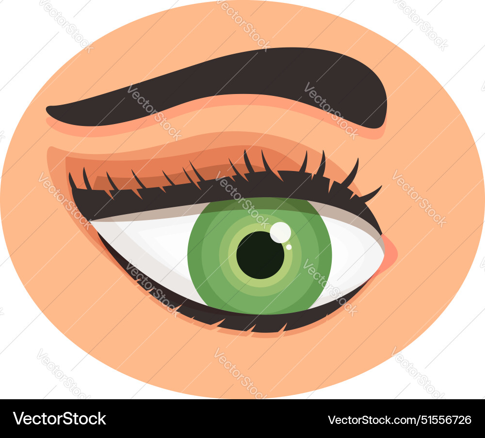 Beautiful female green eye looking sideways Vector Image