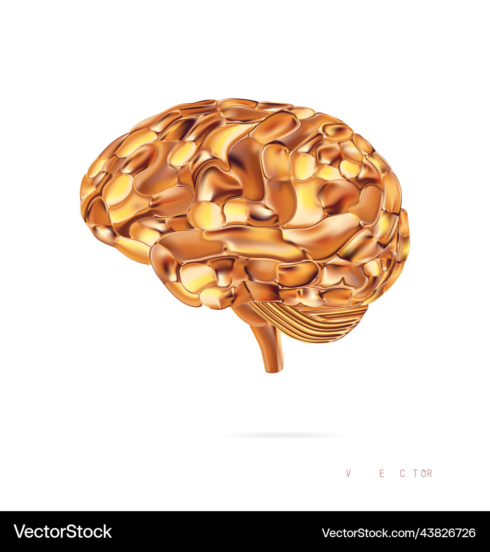 Gold brain isolated on white background Royalty Free Vector