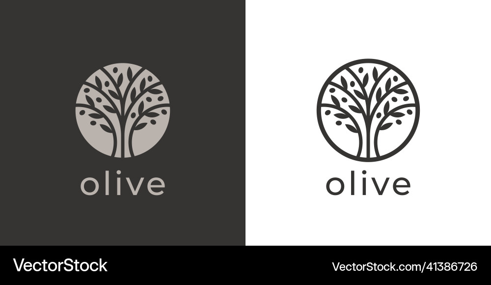 Olive tree logo Royalty Free Vector Image - VectorStock