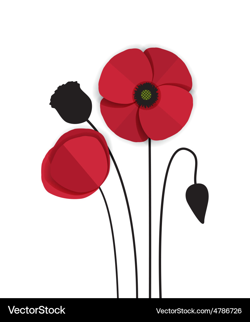 Red Poppy Flowers Royalty Free Vector Image - VectorStock