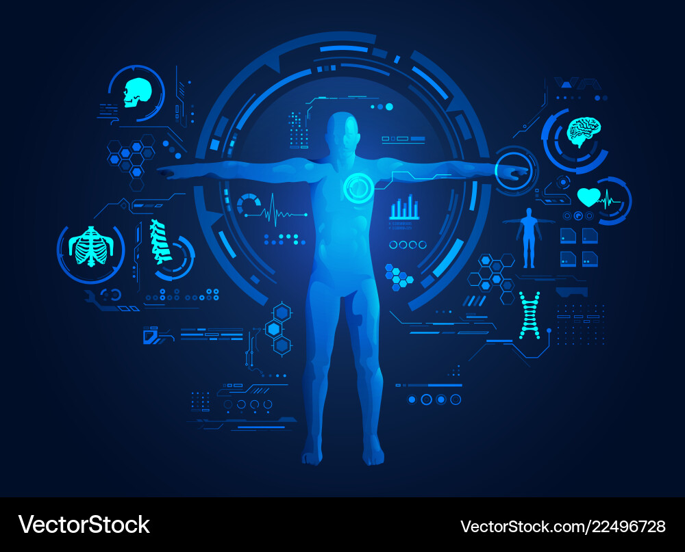 Body scan Royalty Free Vector Image - VectorStock