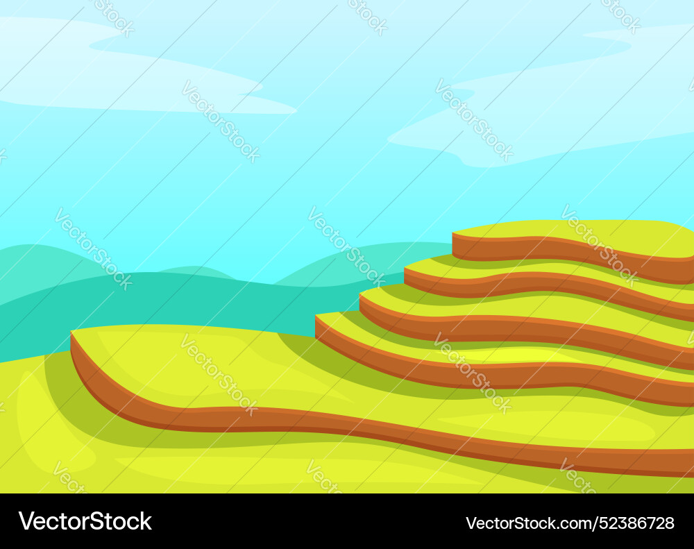 Green rice terraces forming steps over mountains Vector Image