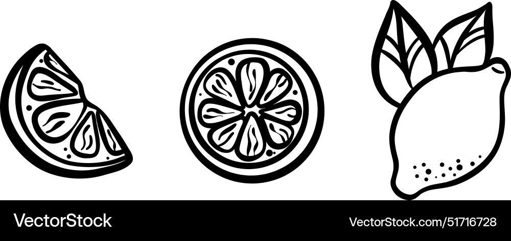 Lemon doodle set line art collection Royalty Free Vector