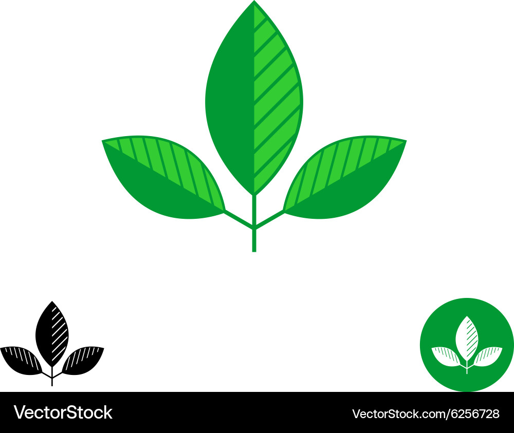 Three leaves simple natural logo Royalty Free Vector Image
