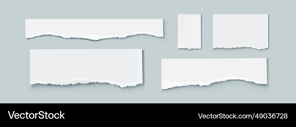 Torn paper strips set isolated on background Vector Image