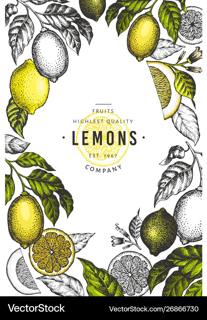 Lemon tree frame template hand drawn fruit Vector Image