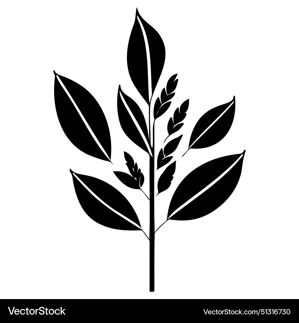 Parallel leaf plant floral sketch Royalty Free Vector Image