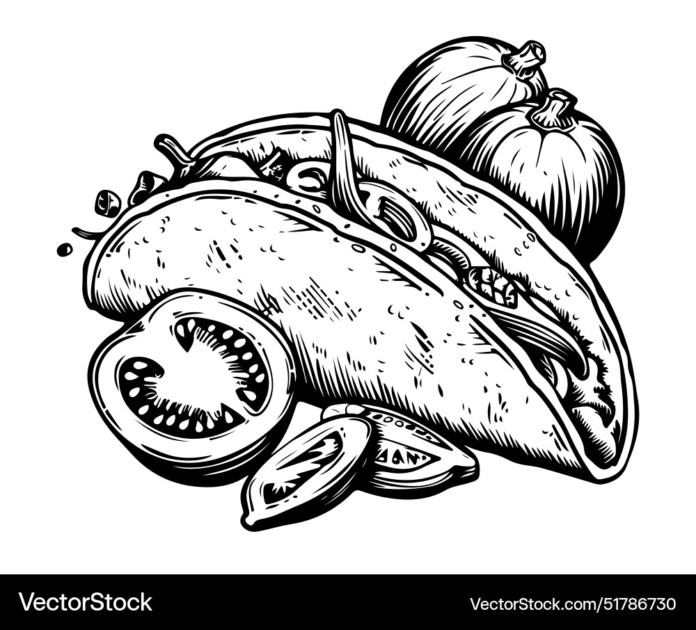 Taco sketch hand drawn food restaurant – Royalty-Free Vector | VectorStock