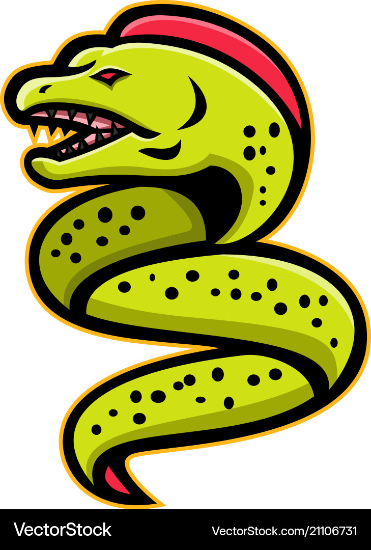 Angry Moray Eel Mascot Royalty Free Vector Image