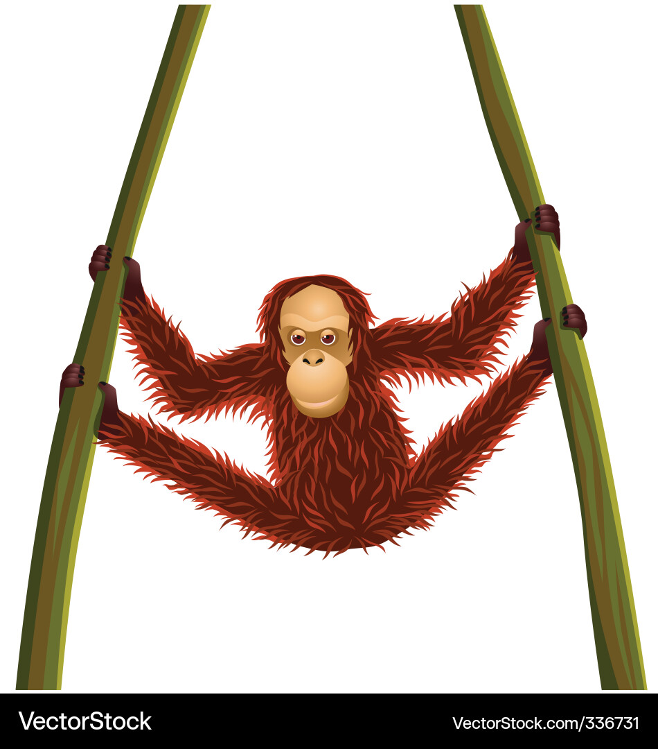 Monkey Hanging From Tree Clip Art
