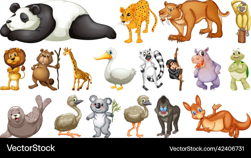 Different wild animals on white background Vector Image
