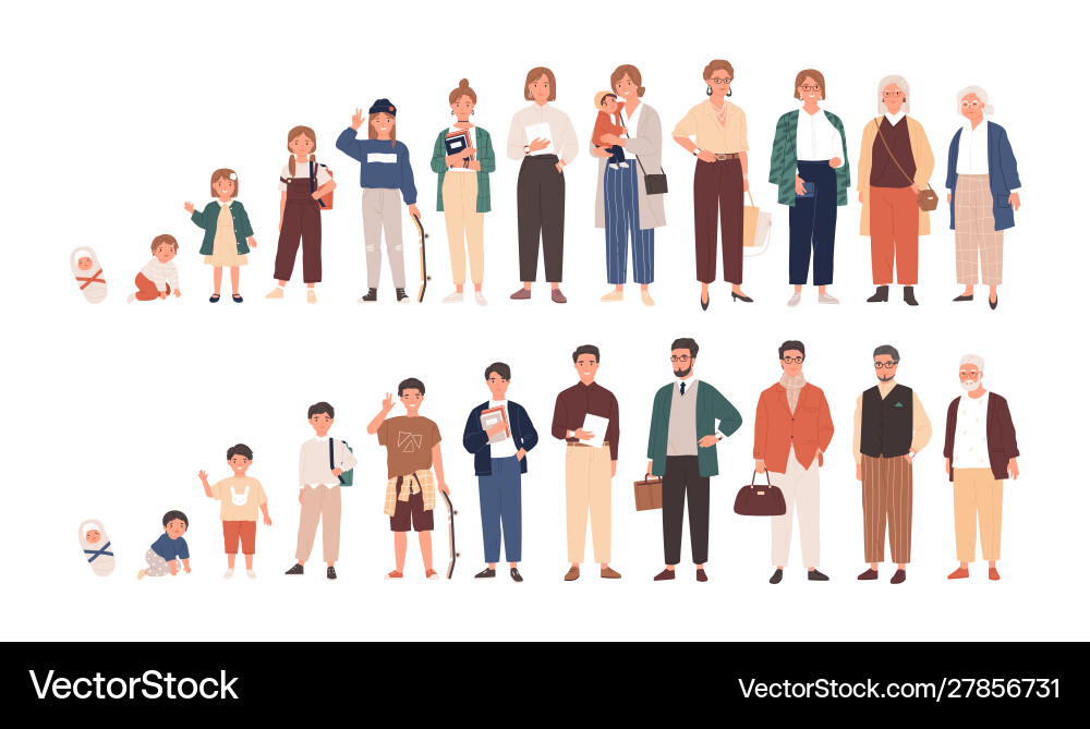 Human Life Stages Royalty Free Vector Image - VectorStock
