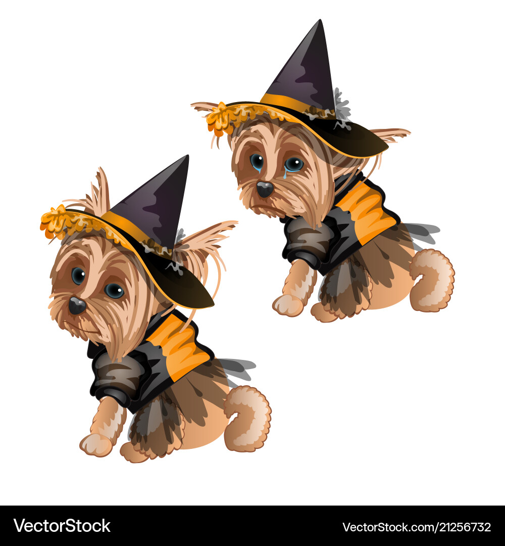 Witch Dog Vector Images (over 1,000)
