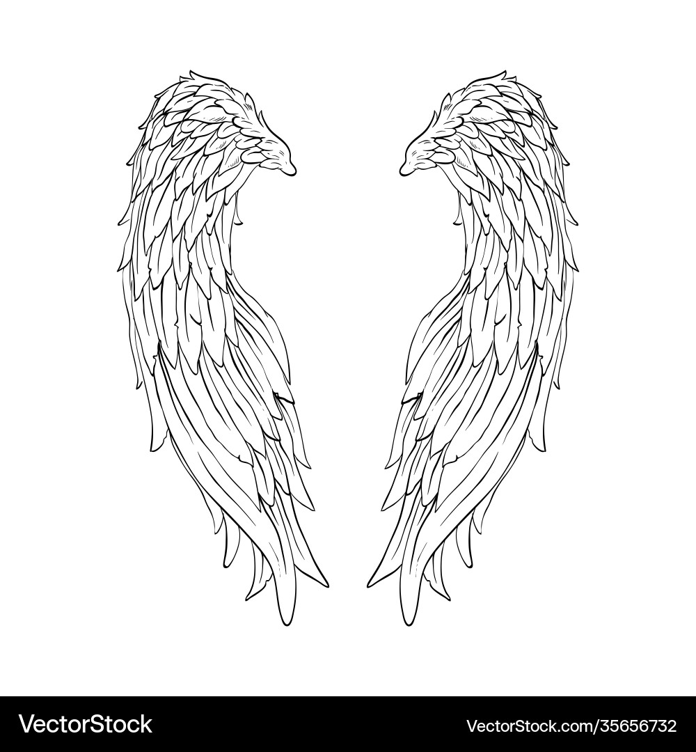 Elegant Angel Wings Banner Royalty Free Vector Image