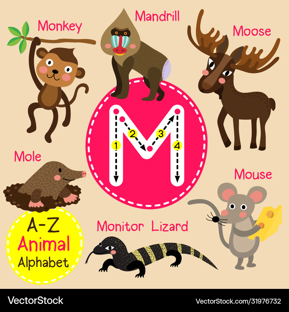 Buchstaben m verfolgen Affen Maus Maul Maul-Monitor Echsard