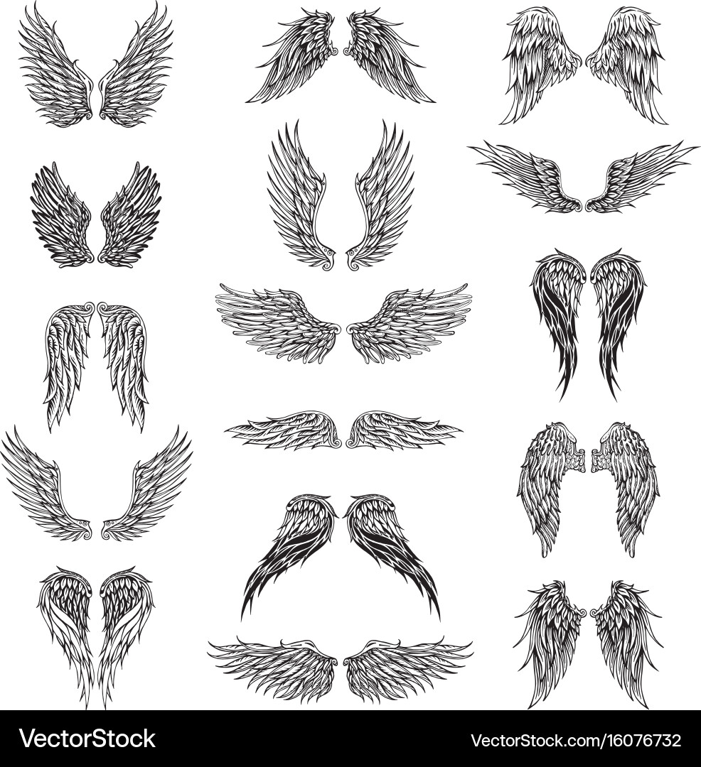 Wings graphic Royalty Free Vector Image - VectorStock