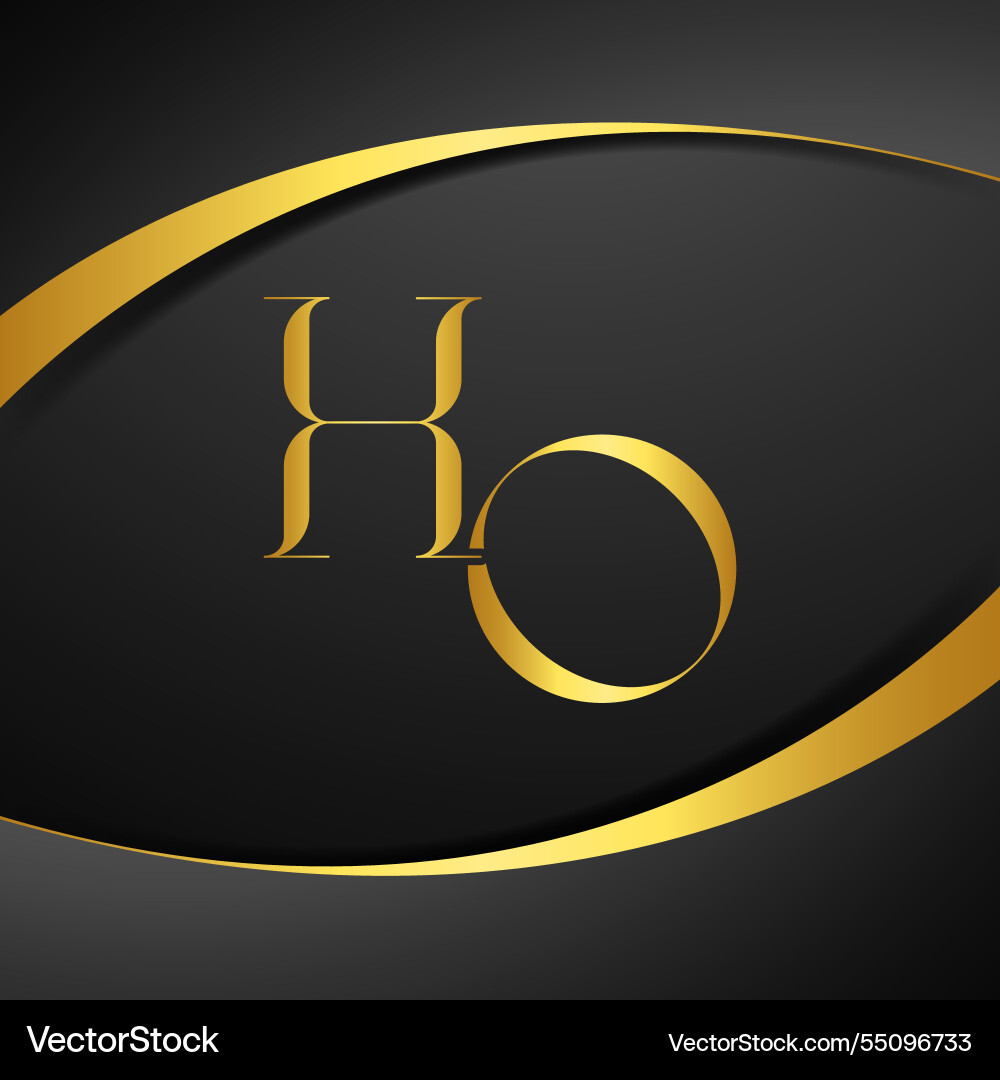 Ho luxury letter logo Royalty Free Vector Image